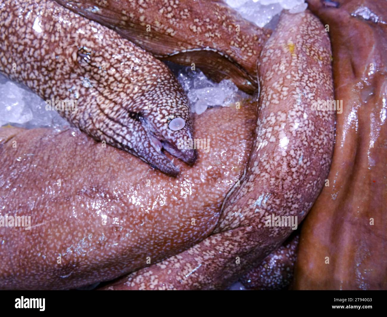 El mercado nuestra senora de africa hi-res stock photography and images ...