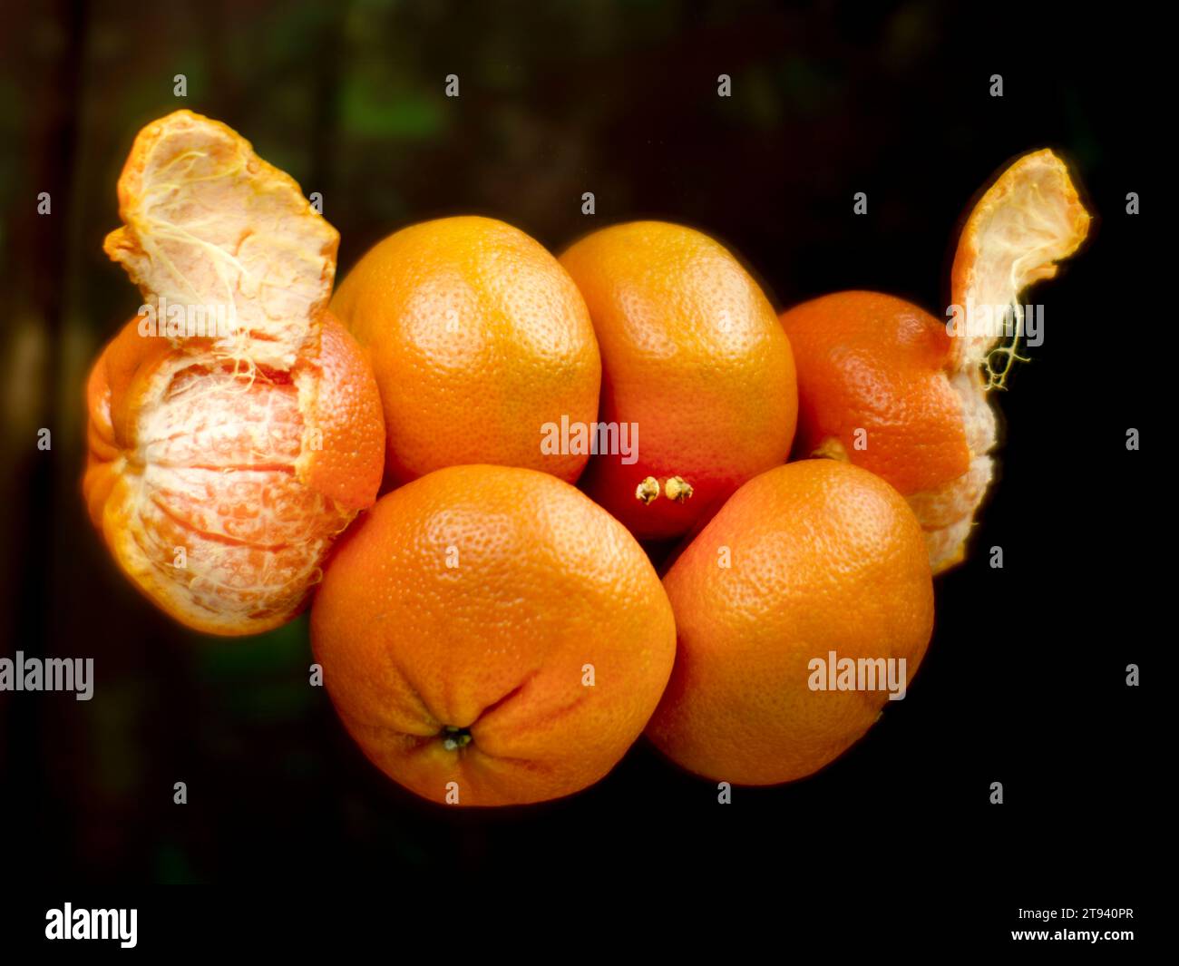 Close up food still life of bright and succulent looking Tangerine ...
