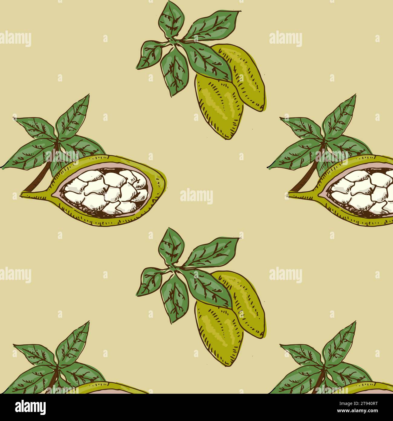 vector seamless pattern with baobab plant parts Stock Vector Image ...