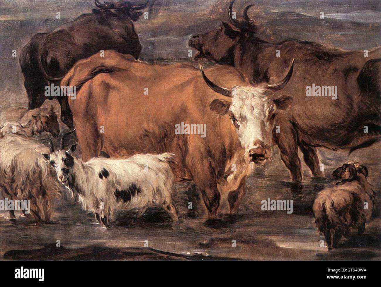 Animal Study - by Nicolaes (Claesz.) Berchem Stock Photo - Alamy