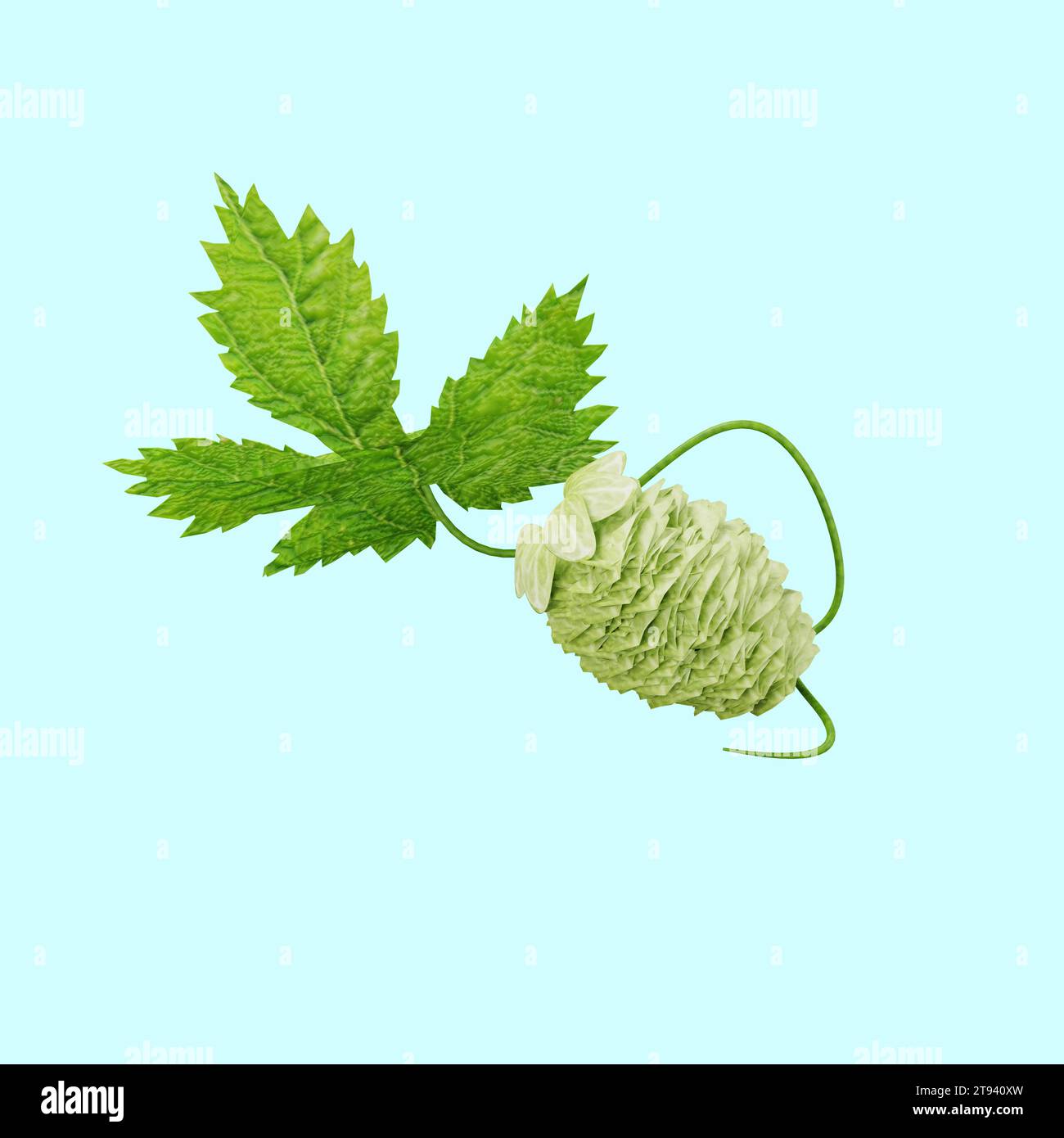 Hop forward beers hi-res stock photography and images - Alamy