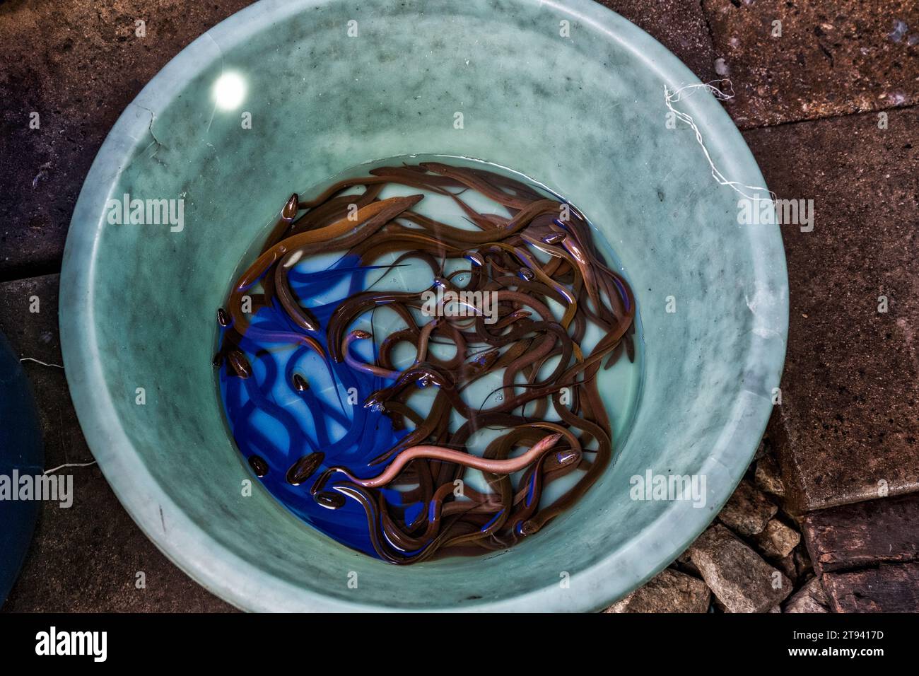Mae Klong Railway Market (Hoop Rom Market), Thailand, Asia Stock Photo ...