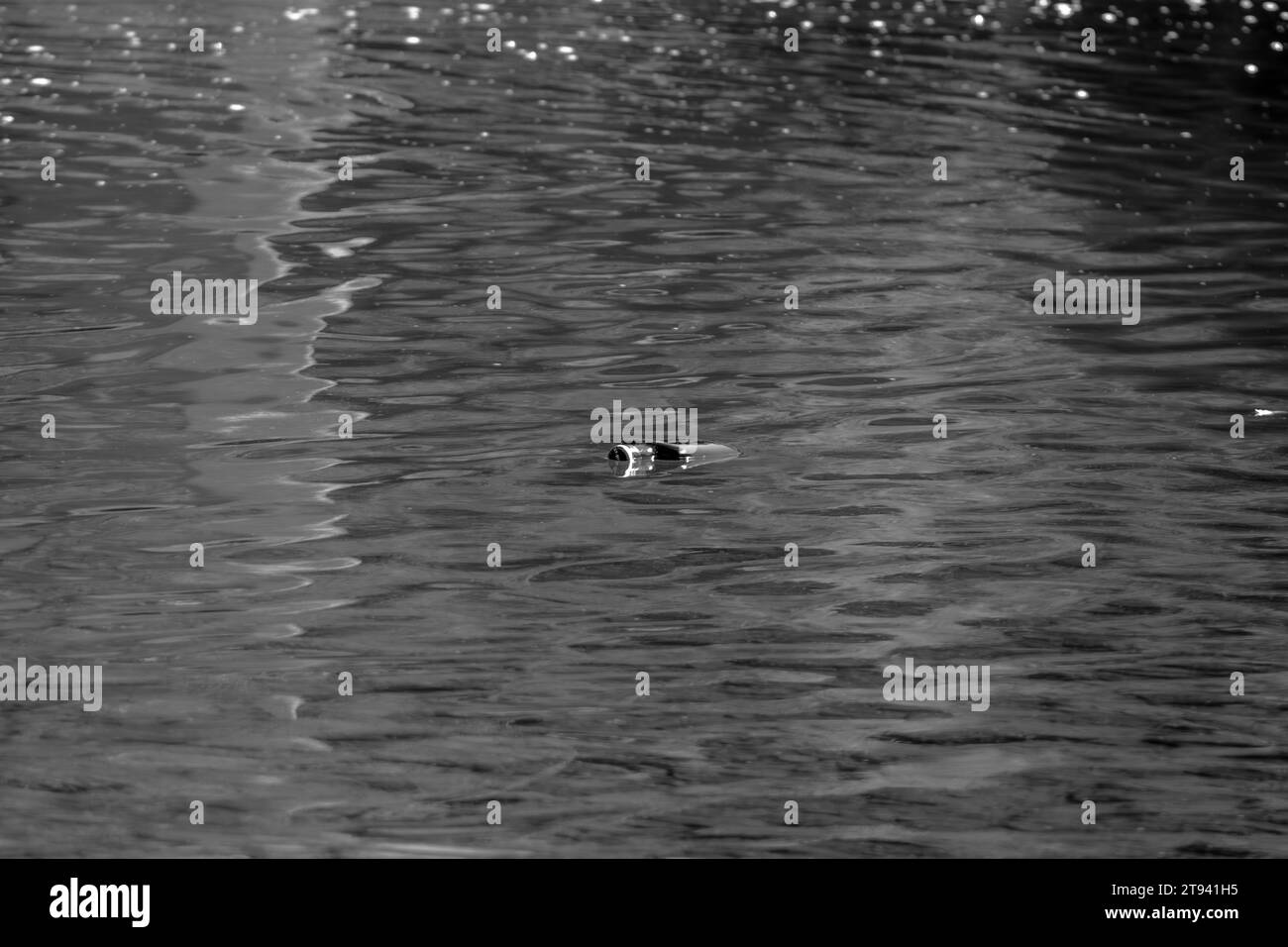 Glass bottle floating away in water drifting away Stock Photo - Alamy