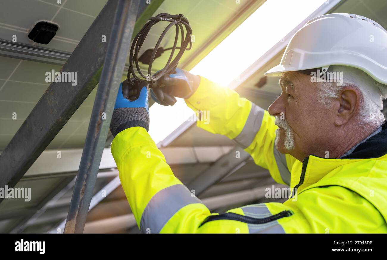 Engineer managing cables behind solar panels at a solar farm ...