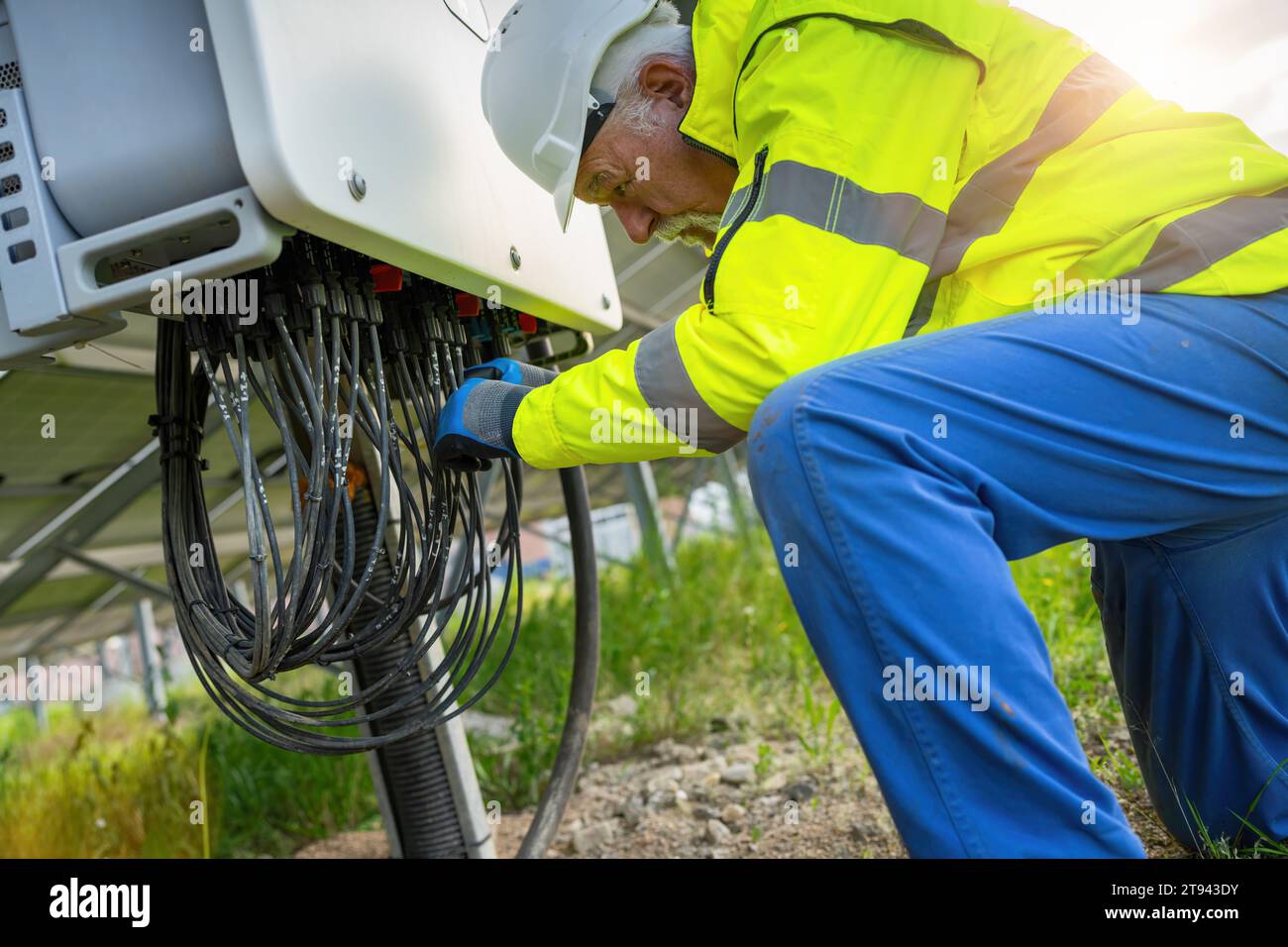 Engineer at a distribution station in a solar panel park handling ...