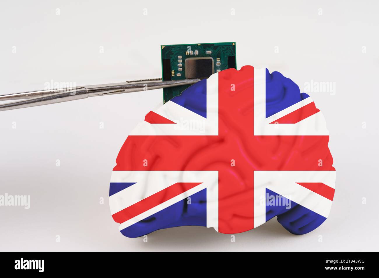 On a white background, a model of the brain with a picture of a flag ...