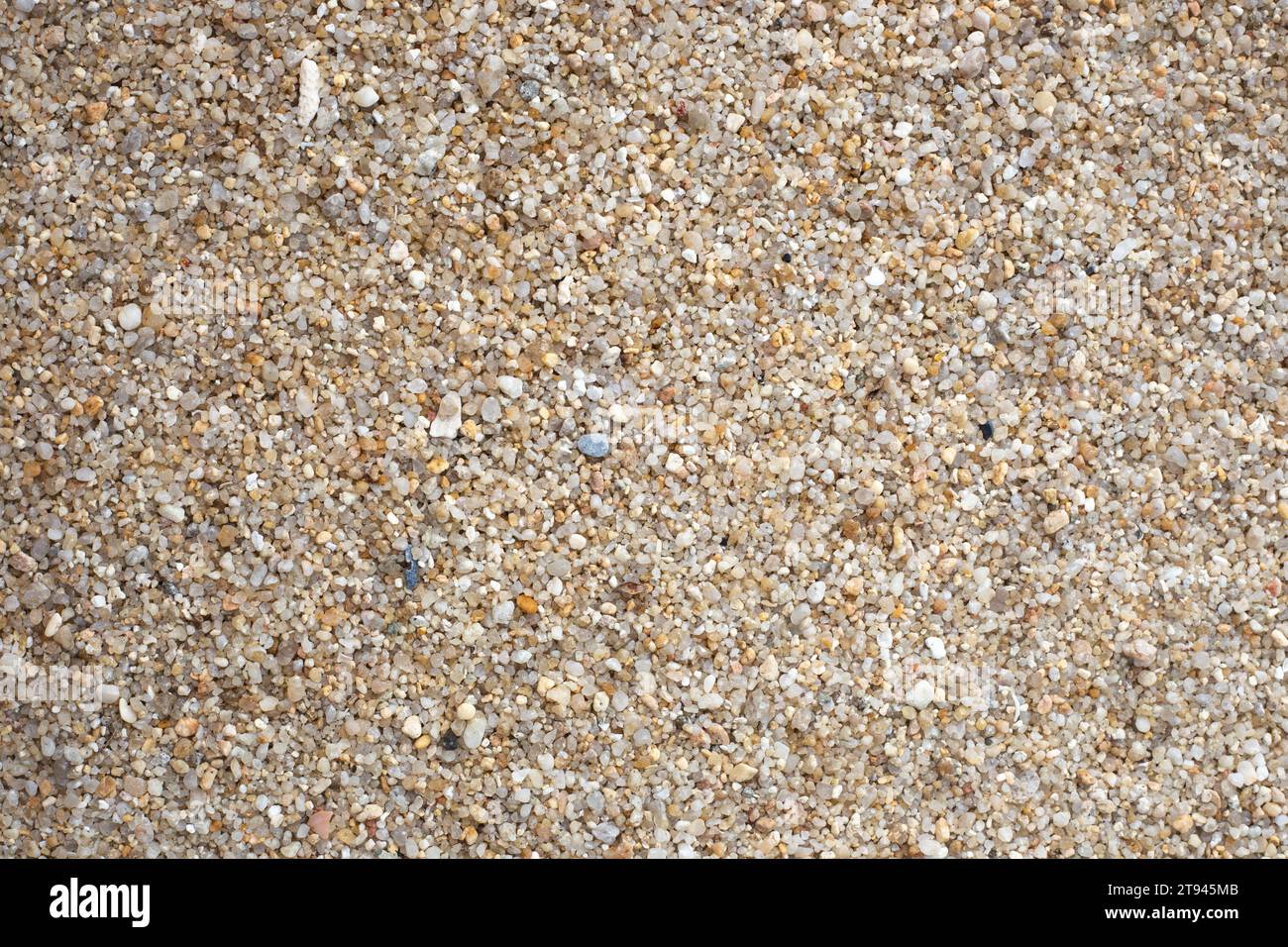 Coarse light sand. Texture, pattern. Natural sand background Stock ...