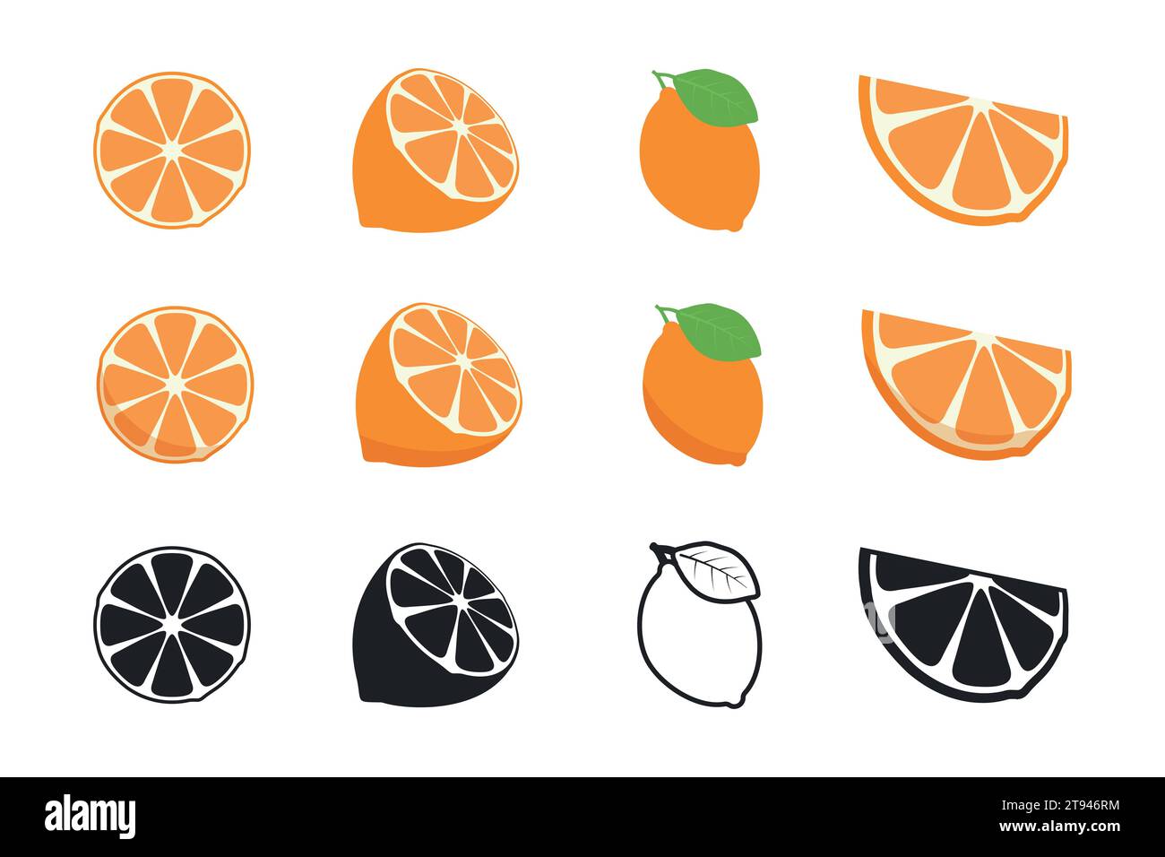 Orange fruit. Oranges segmented on a white background. Vector ...