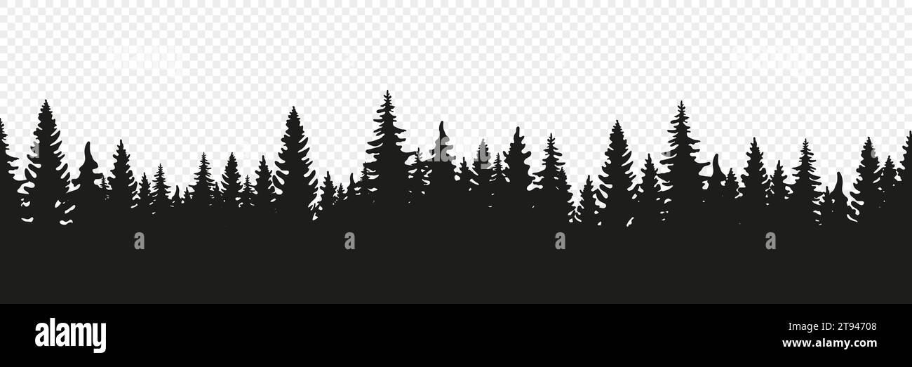 Forest background, coniferous trees. Simple pine forest for your design ...