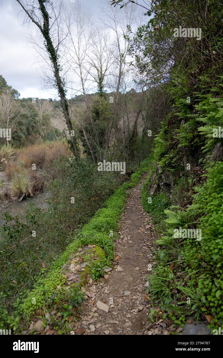 A section of pathway from the Pasarelas del rio Genal Stock Photo - Alamy
