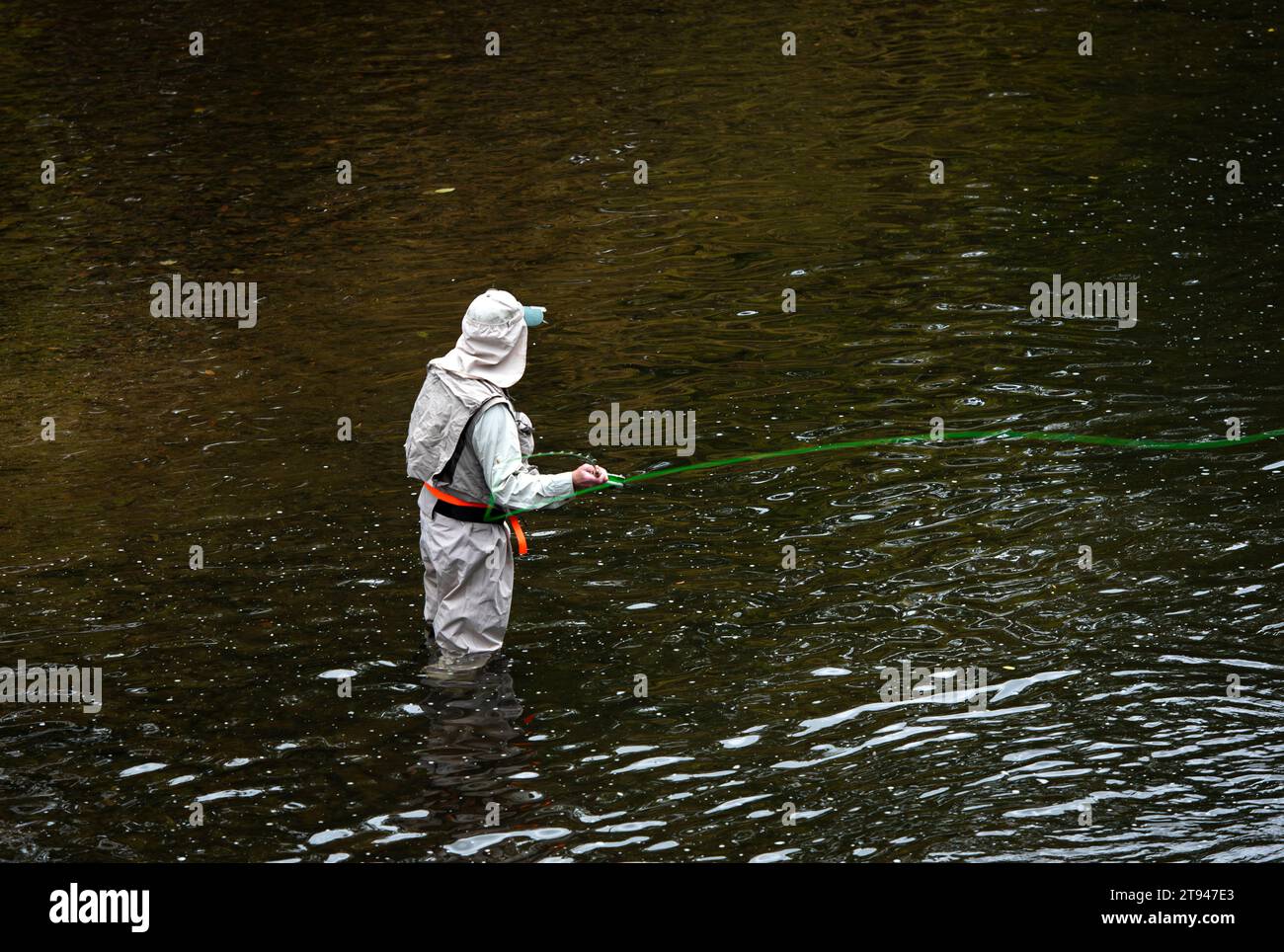 Man fly-fishing in the Raritan River Stock Photo - Alamy