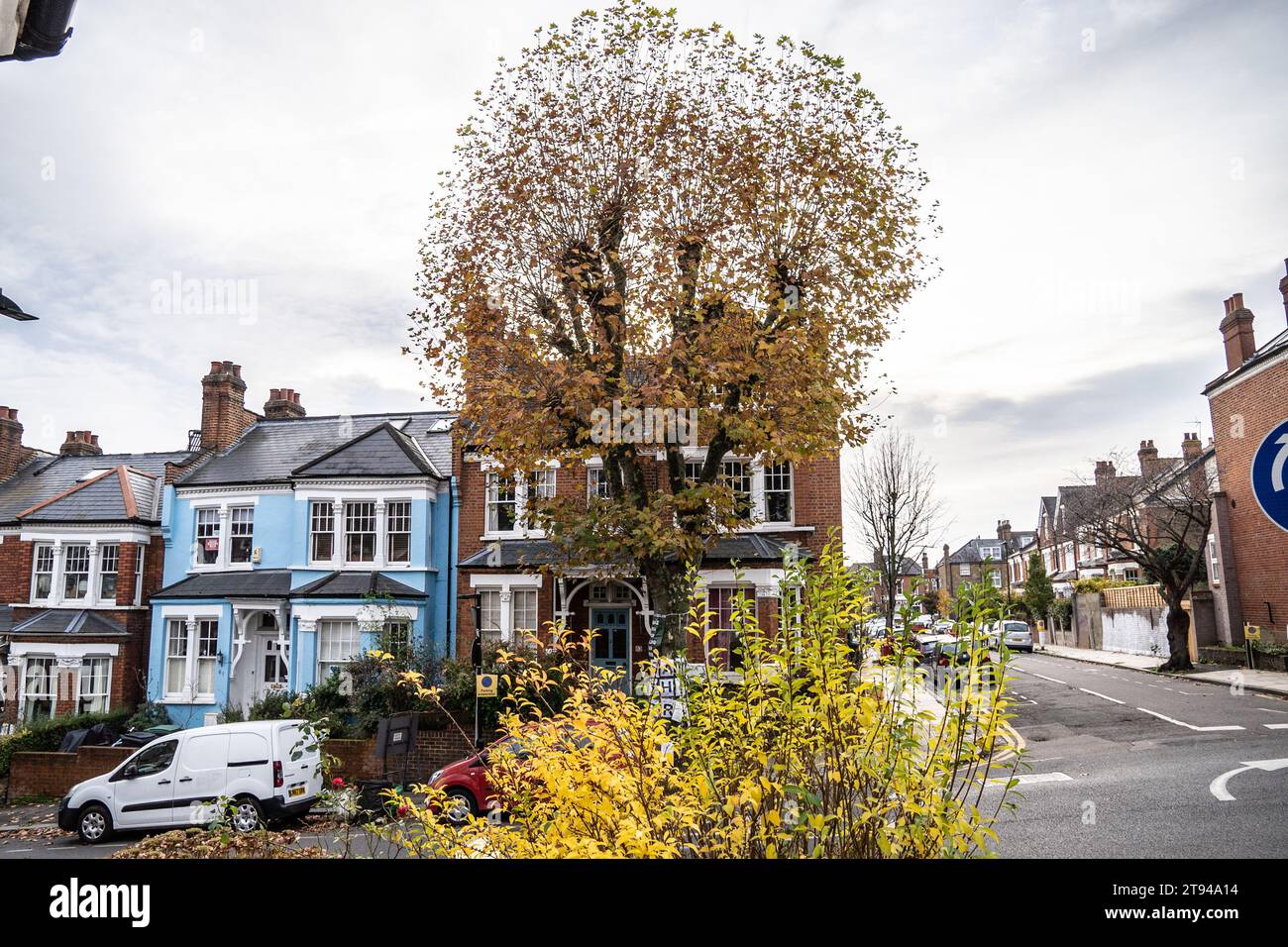 London, England, UK. 22nd Nov, 2023. Oakfield Road, London, United ...