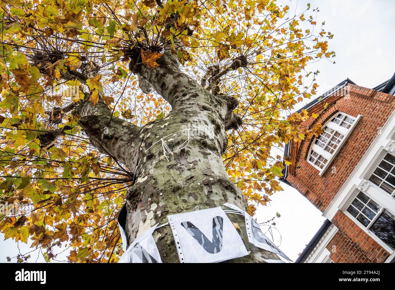 London, England, UK. 22nd Nov, 2023. Oakfield Road, London, United ...