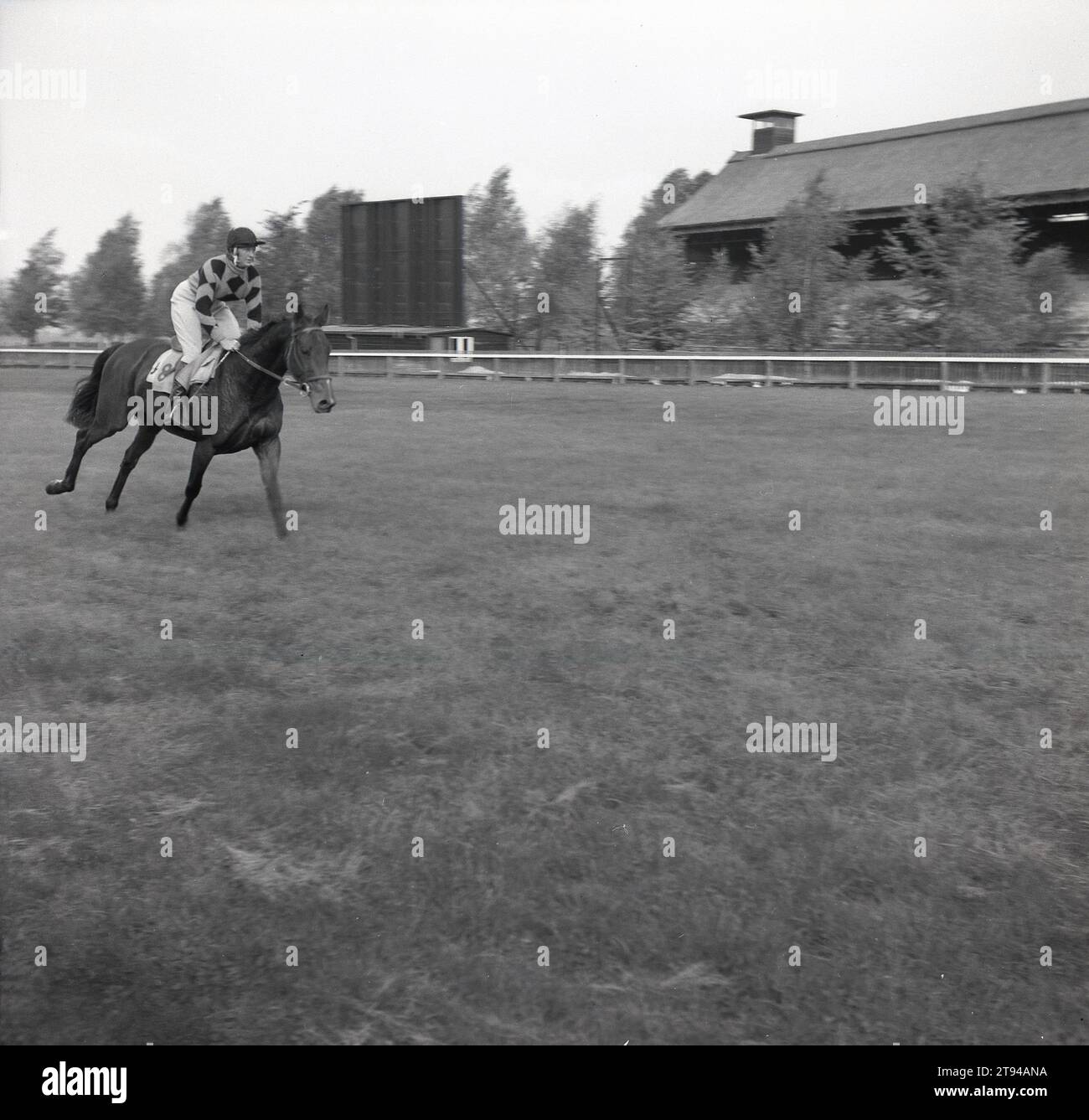 1953, historical, a lady jockey on a horse, riding in the Newmarket ...