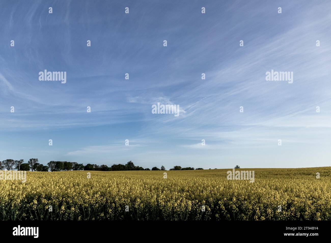 Rural life photography hi-res stock photography and images - Alamy