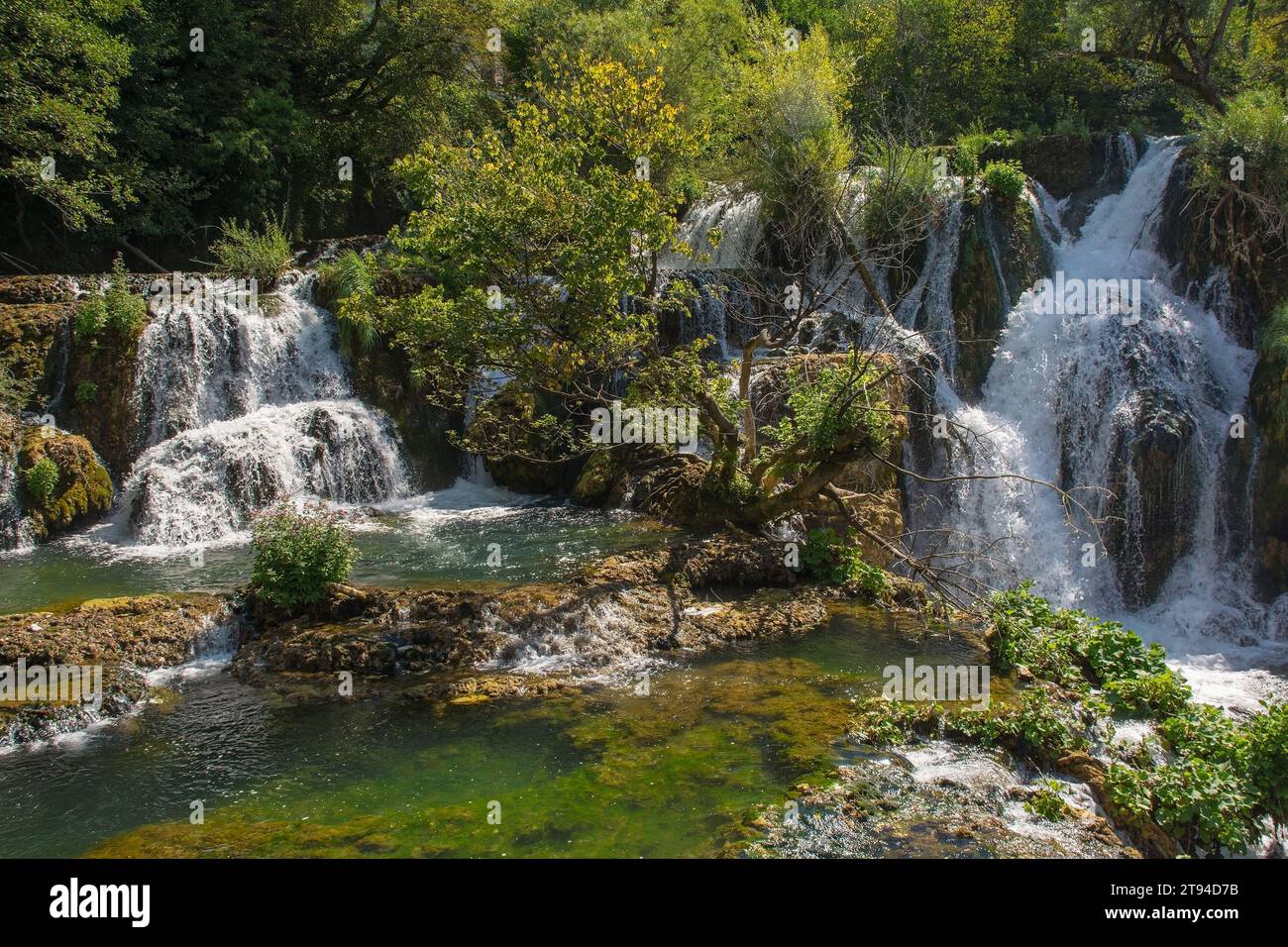 Martinbrodski hi-res stock photography and images - Alamy