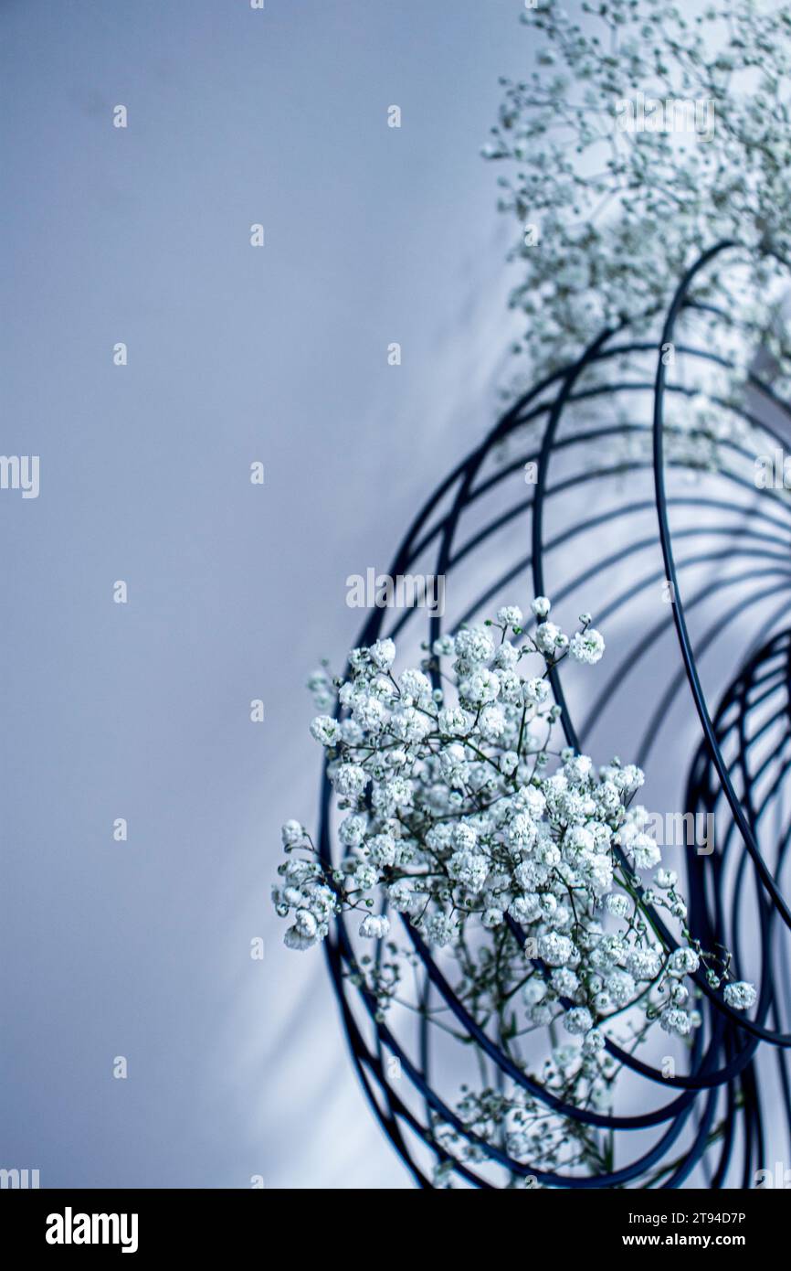 Subtle flower background hi-res stock photography and images - Alamy