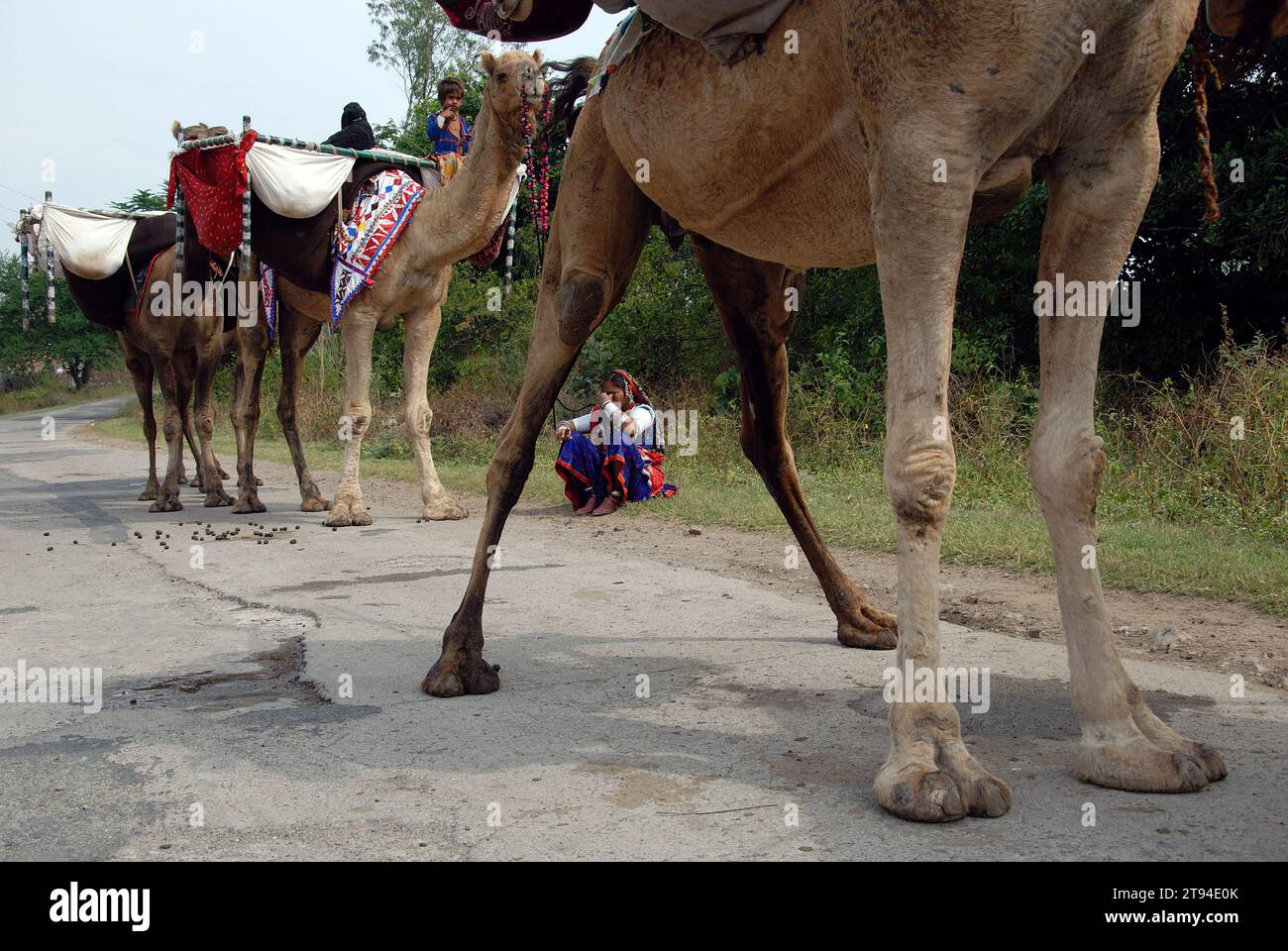 The Banjara women in their ancient mode of dress and jewellery is ...