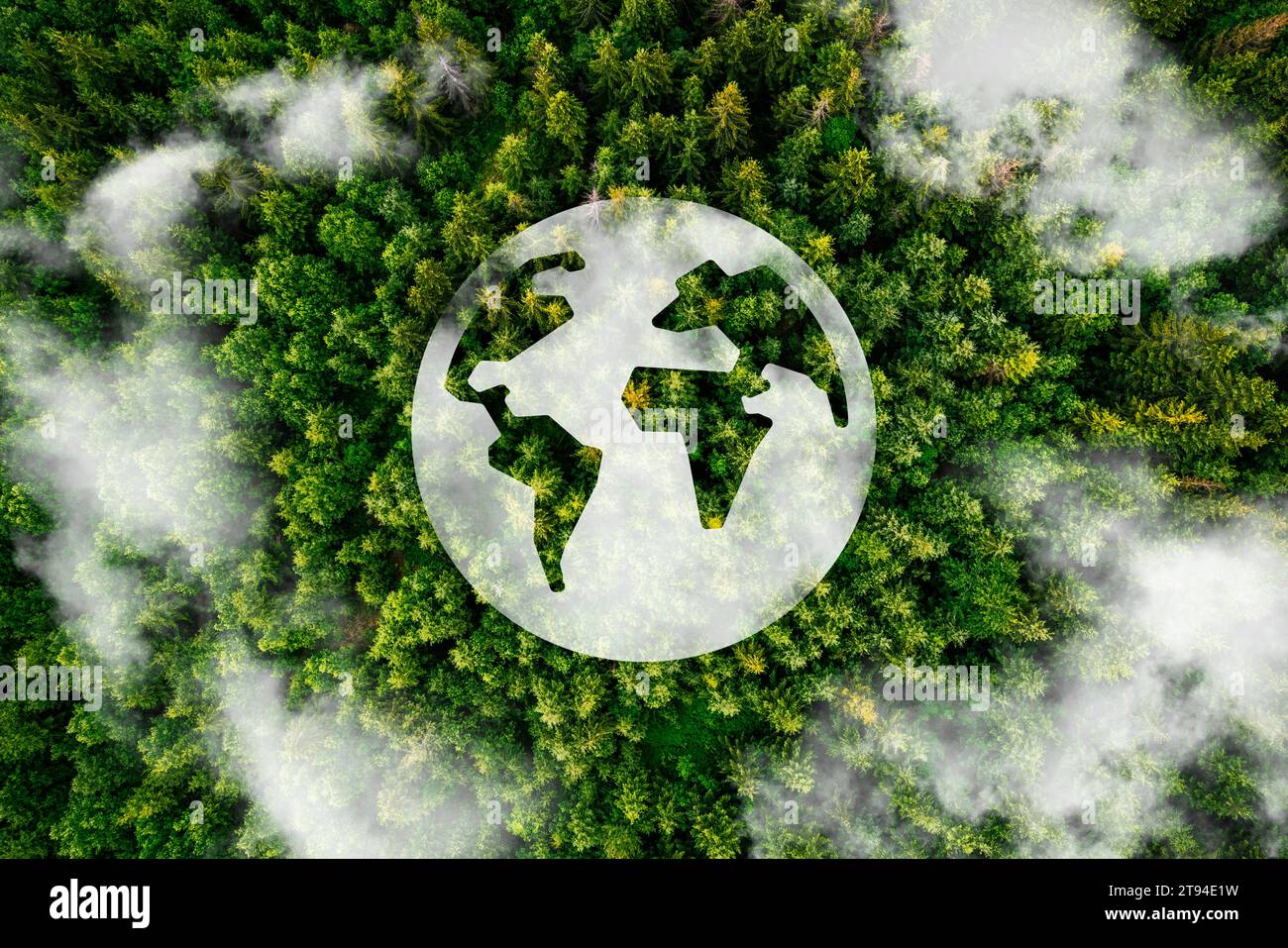 Aerial view of the green forest against the land. Demonstrates the ...