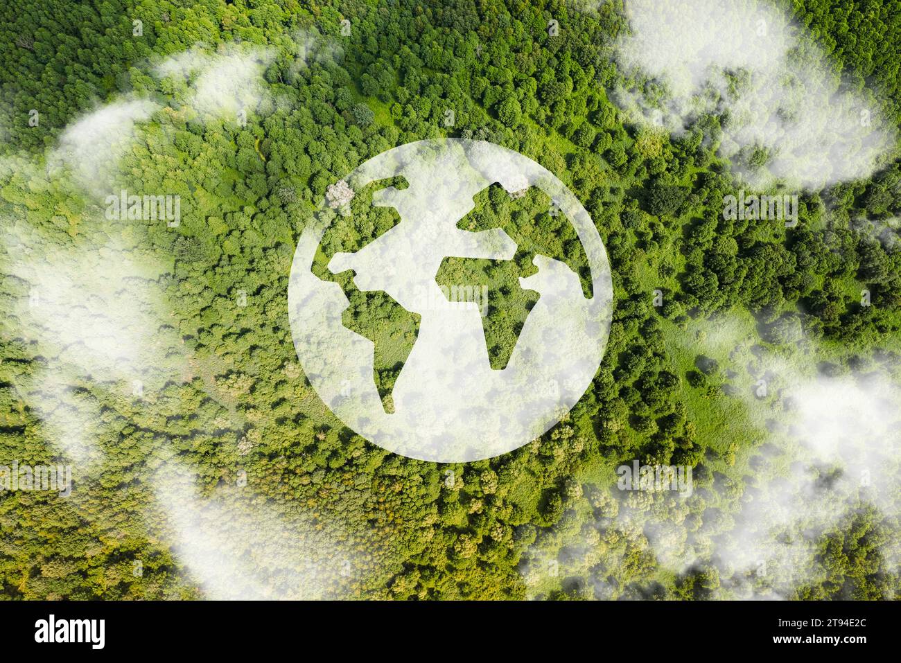 Aerial view of the green forest against the land. Demonstrates the ...