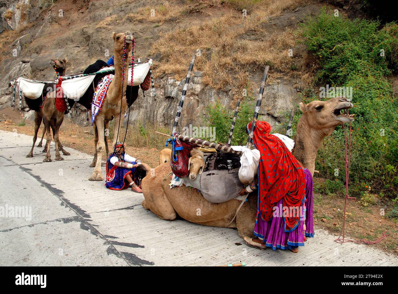The Banjara women in their ancient mode of dress and jewellery is ...