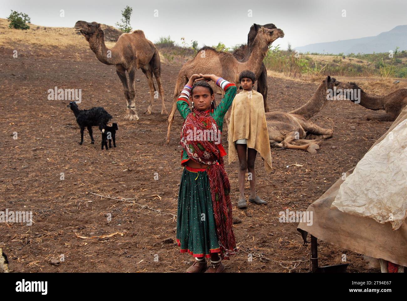 The Banjara women in their ancient mode of dress and jewellery is ...