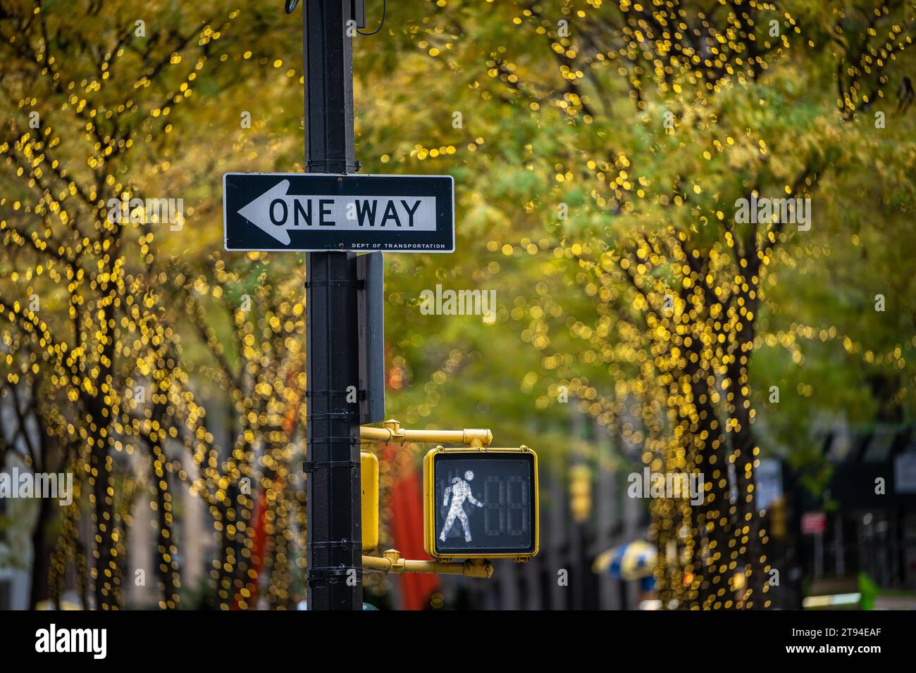 Pedestrian and One way traffic lights on the streets of New York Stock ...