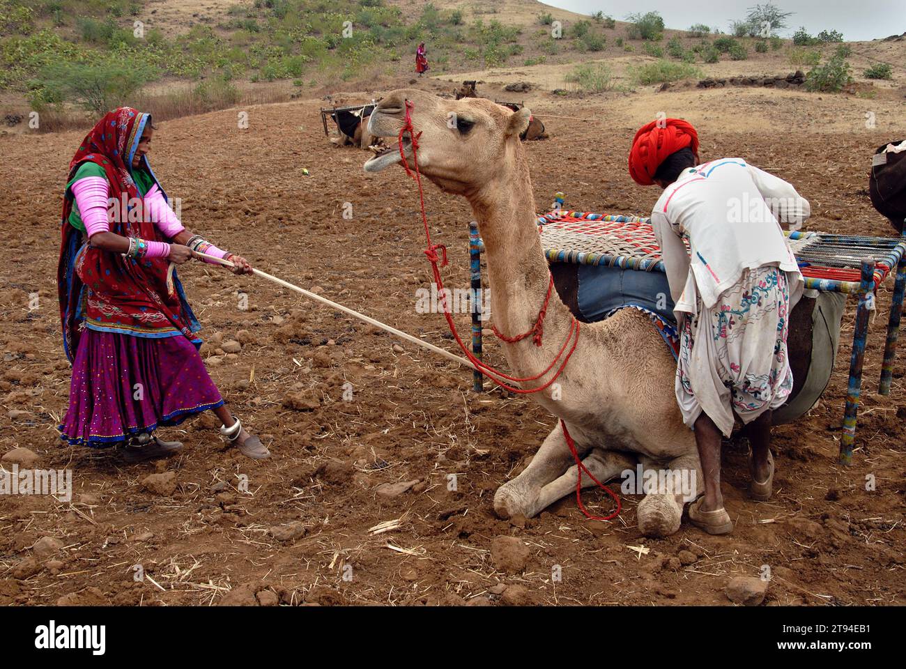 The Banjara women in their ancient mode of dress and jewellery is ...