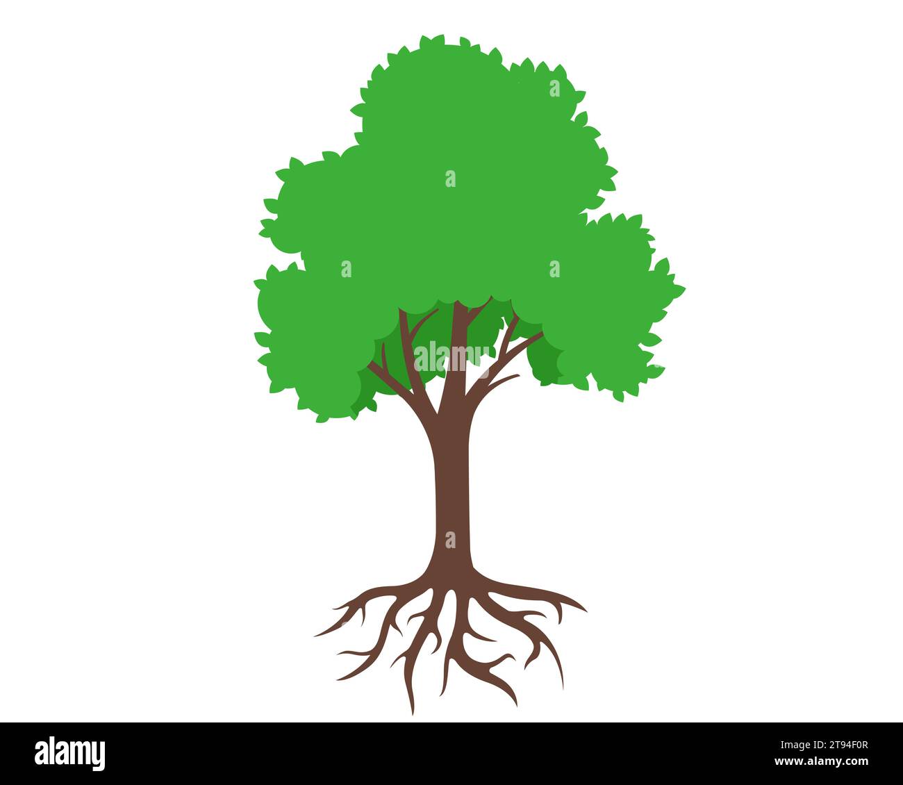 tree and root system. flat vector illustration Stock Vector Image & Art ...