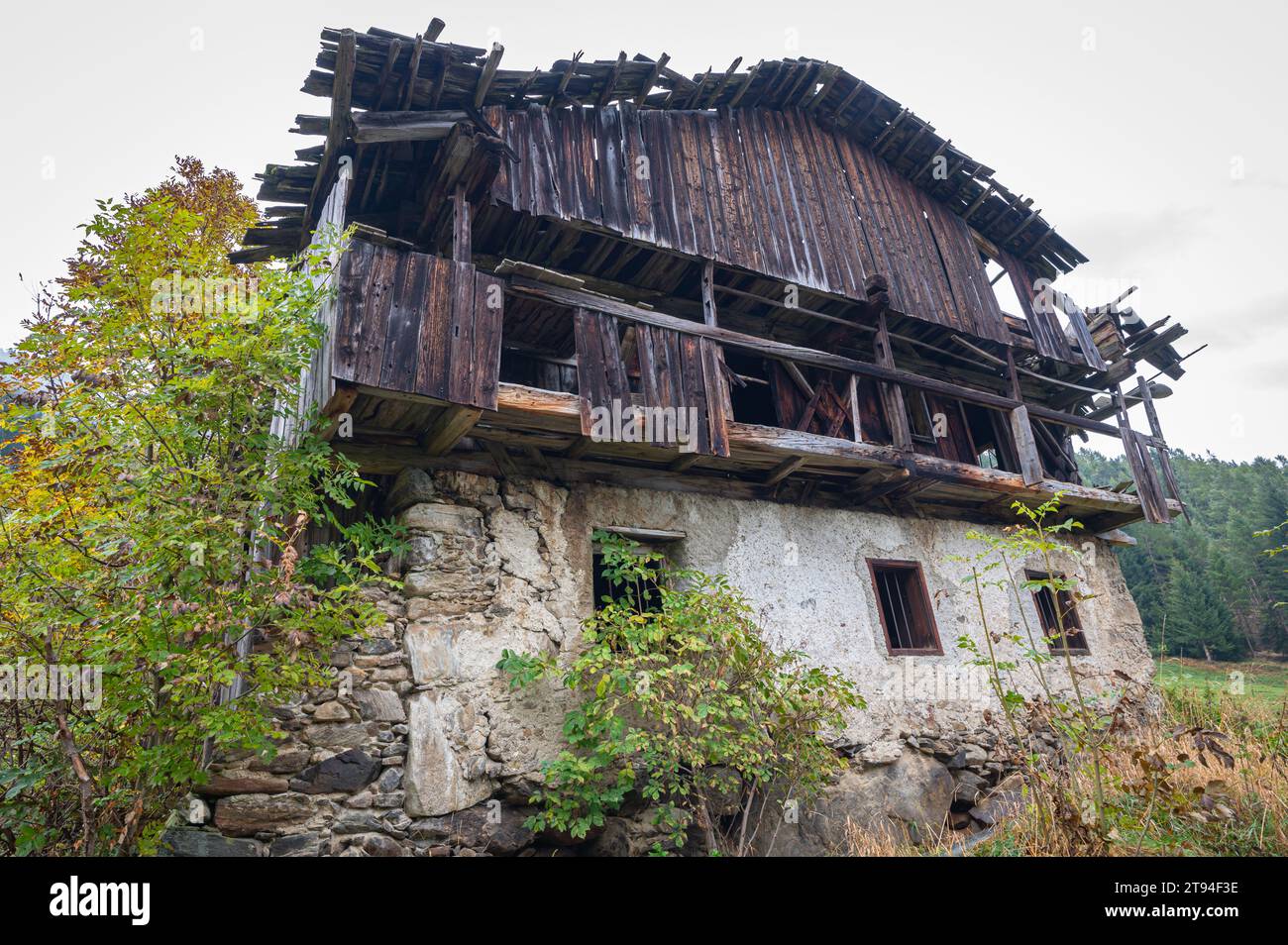 Decaying house is overgrown by trees Stock Photo - Alamy