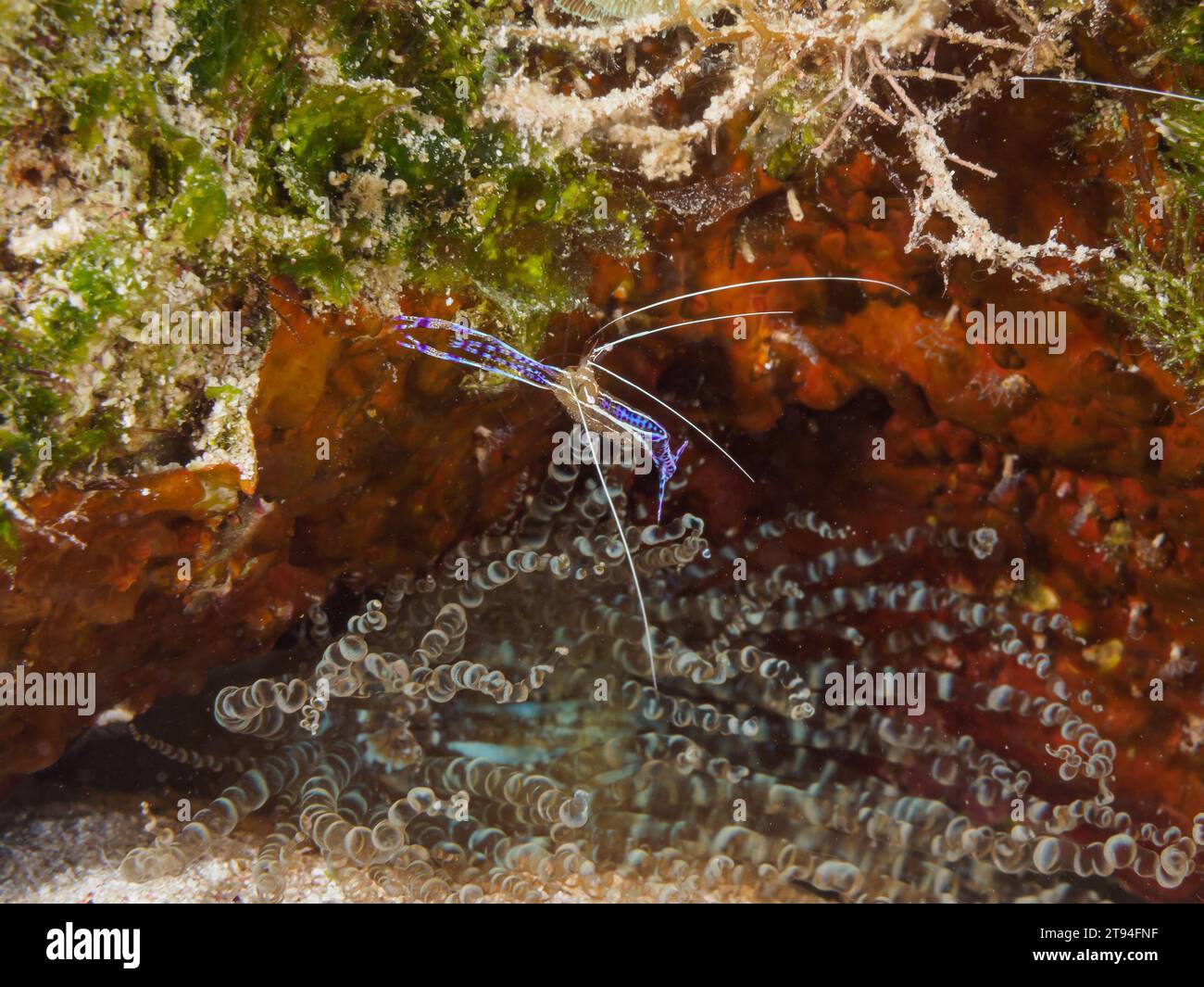 Types of rocks hi-res stock photography and images - Alamy