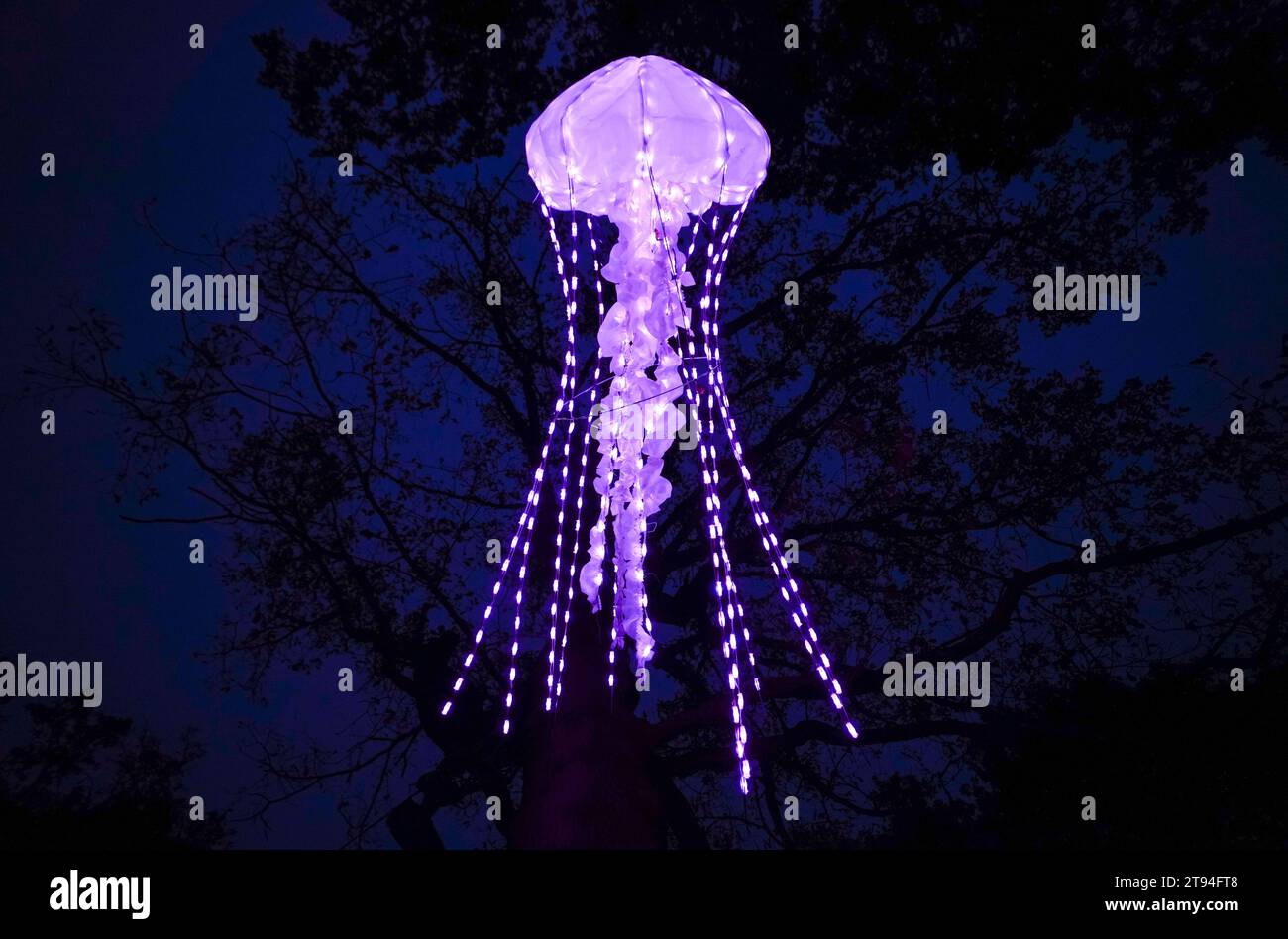 A view of a light display at the Glow Wild winter lantern trail at Kew ...