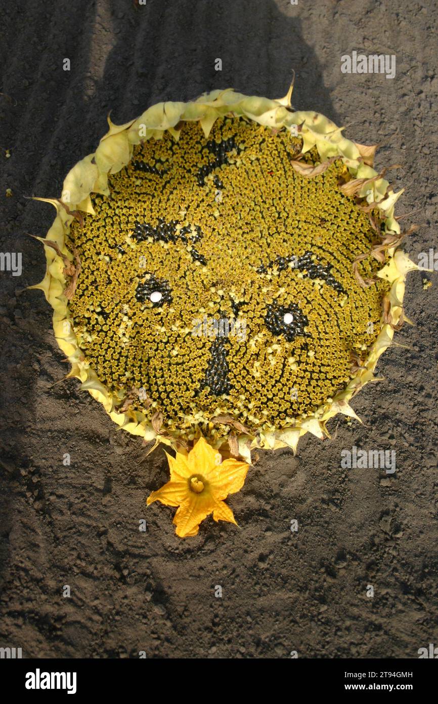 Picture of an old Ukrainian artist, created in his subsistence garden ...