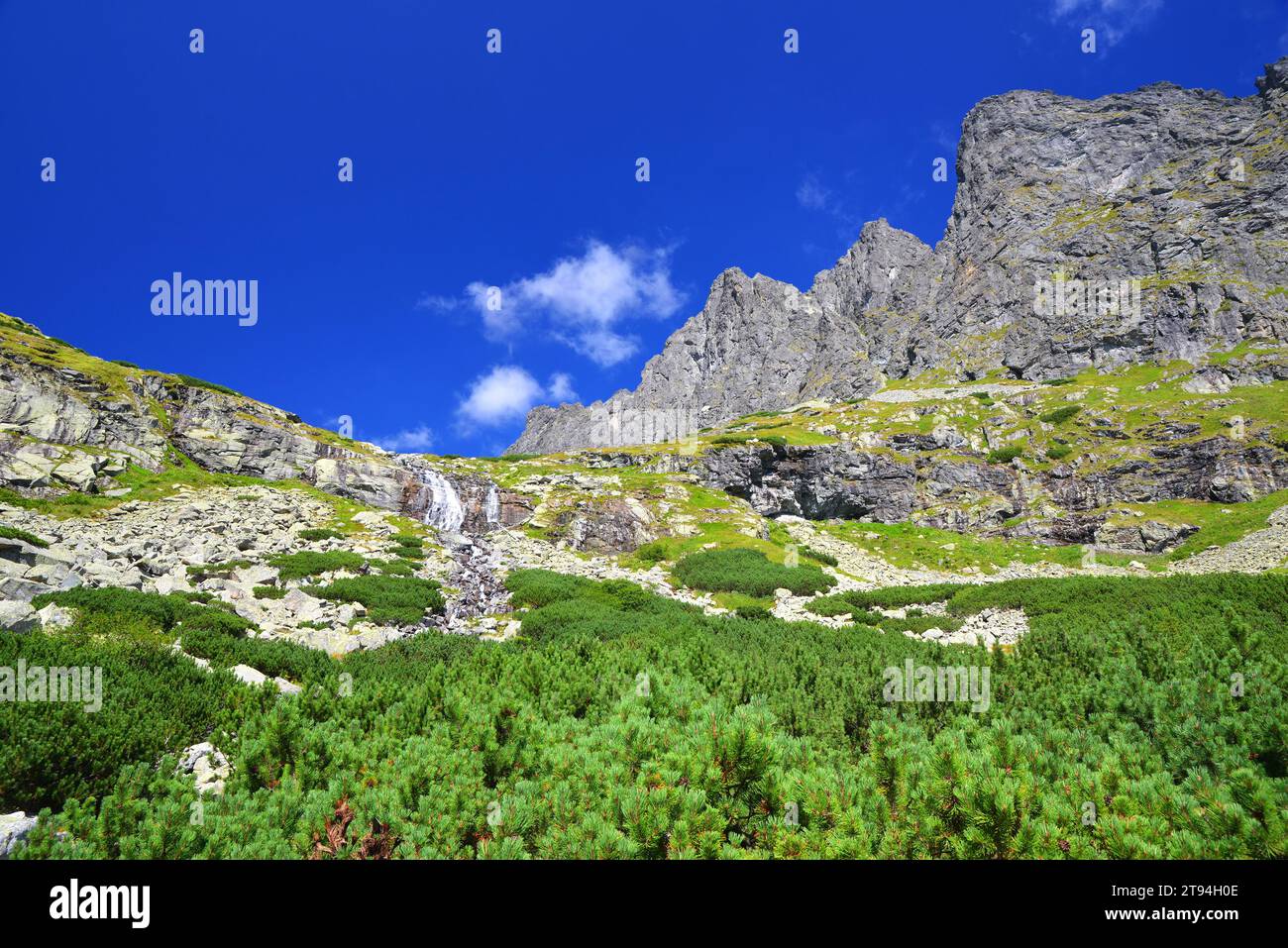 Velicke granaty hi-res stock photography and images - Alamy