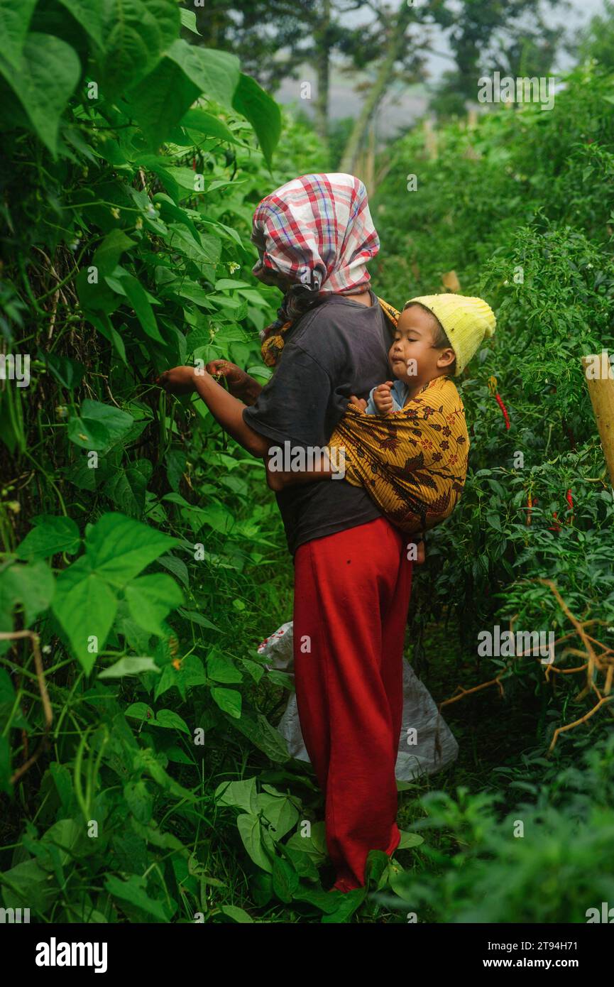 Portrait of the indigenous Karo people, Nurhalimah Br Sembiring Milala ...