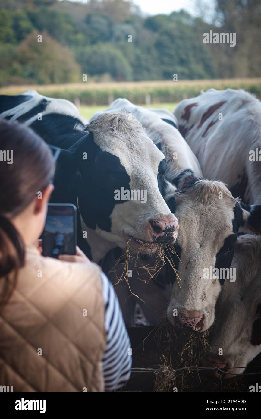 Woman takes a picture on her mobile phone of domestic black and white ...