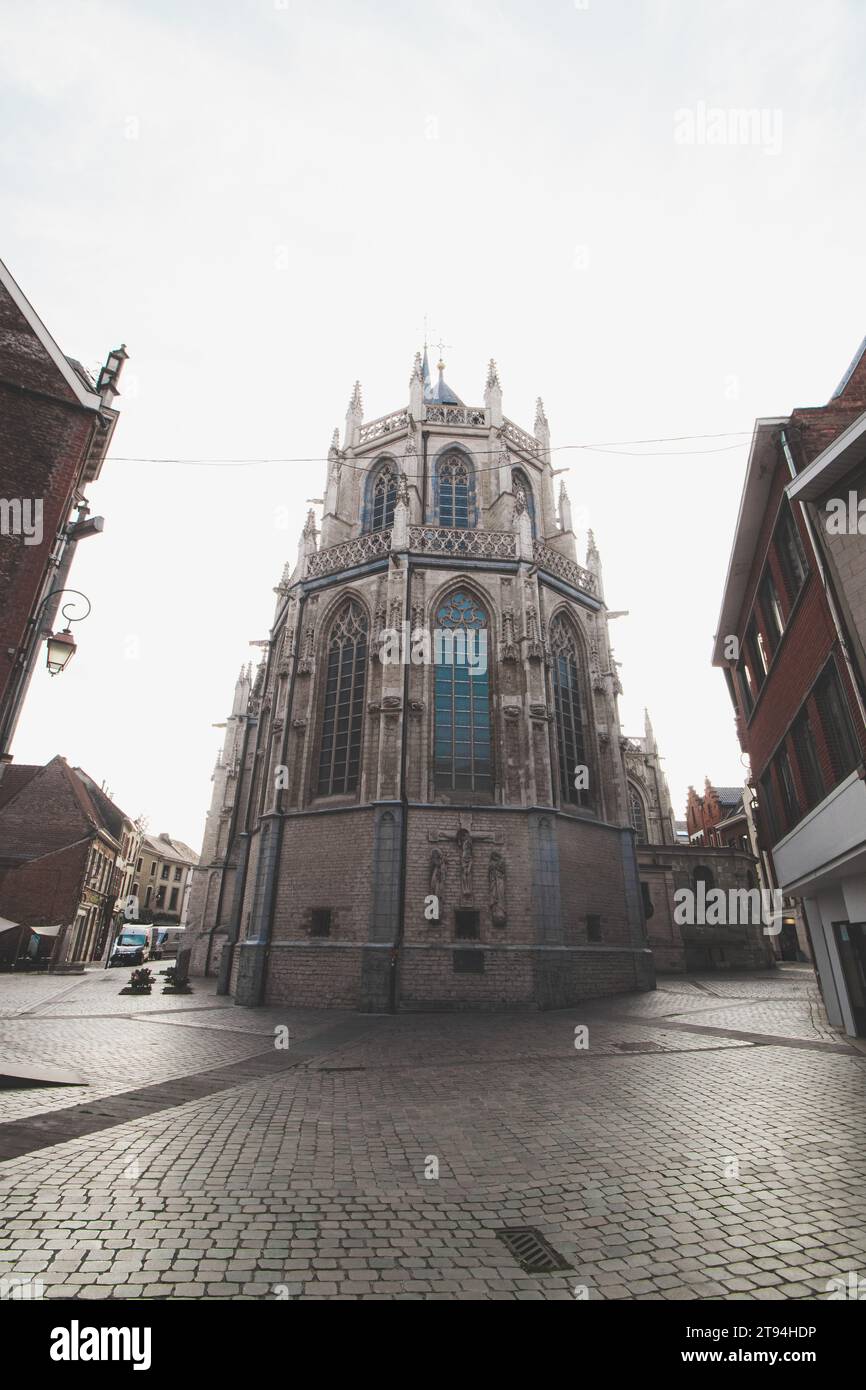 Beautiful church of Sint-Martinusbasiliek in the centre of Halle ...