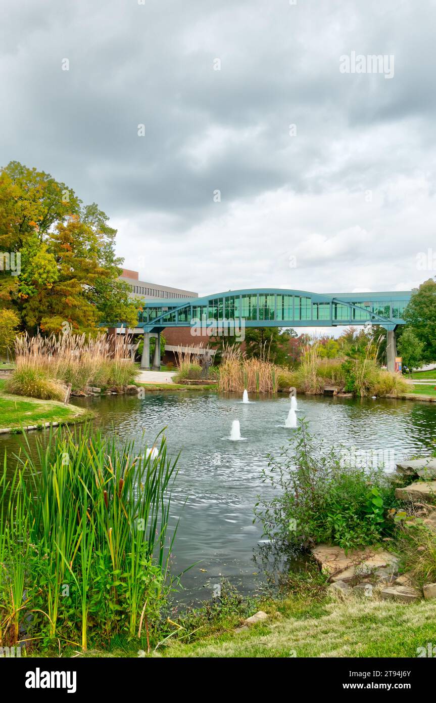 School campus pond hi-res stock photography and images - Alamy
