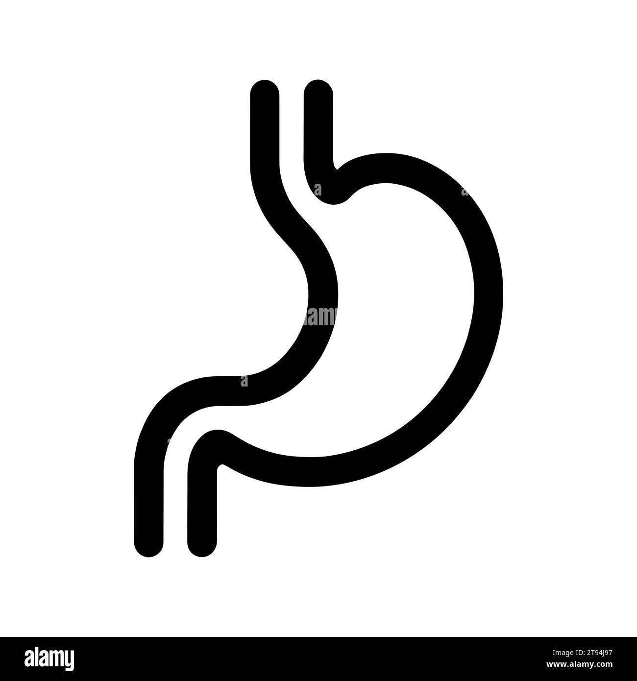 stomach. linear icon. Line with editable stroke. Vector illustration ...