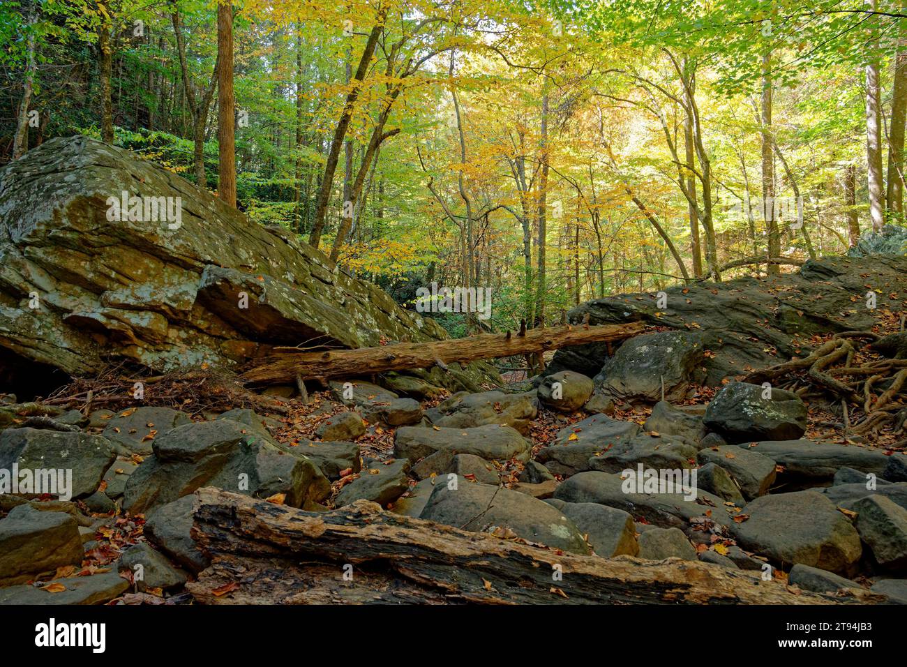 At the bottom of a dry empty creek with exposed boulders rocks and a ...