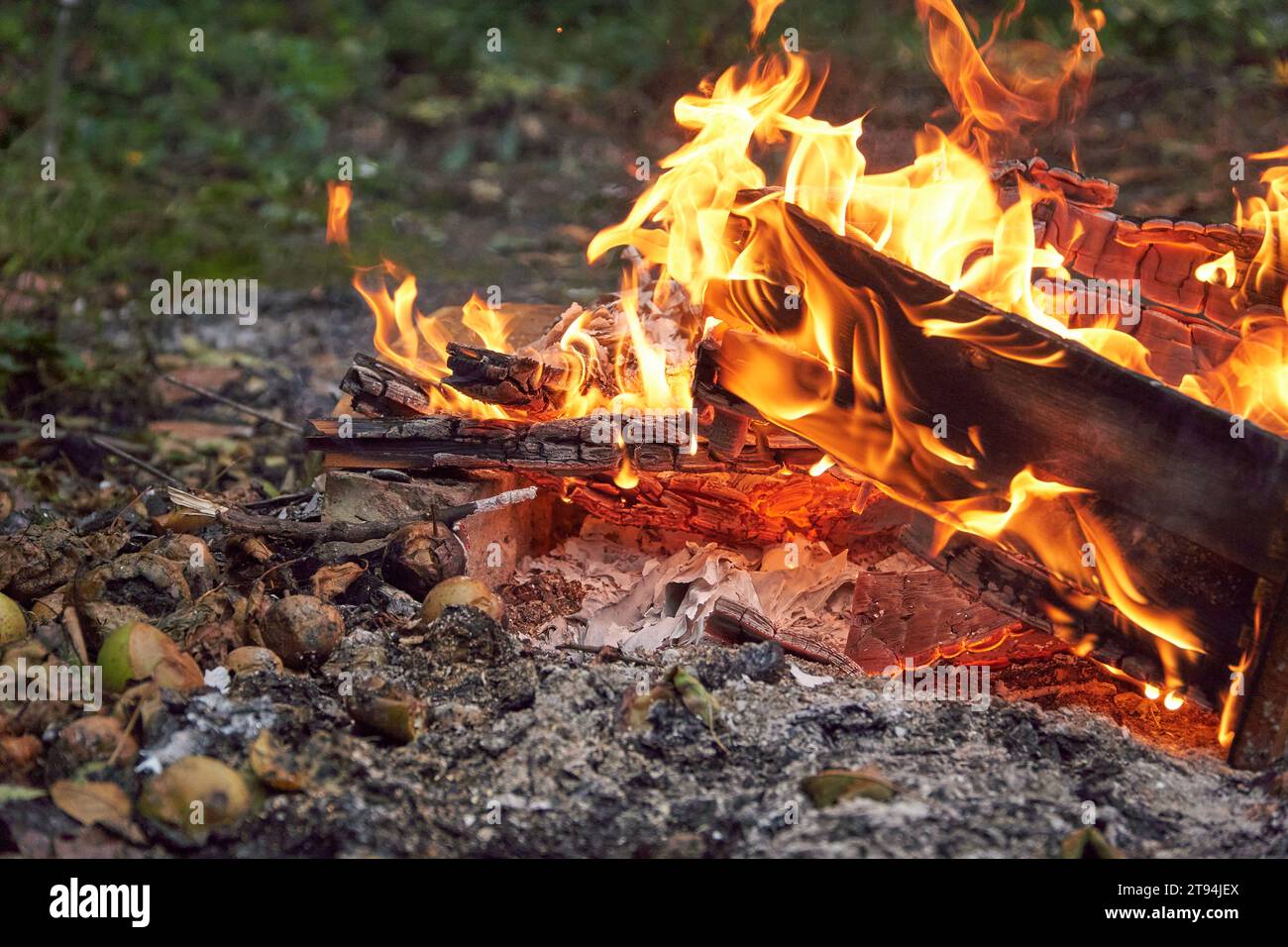 Wood burning on a garden bonfire Stock Photo - Alamy