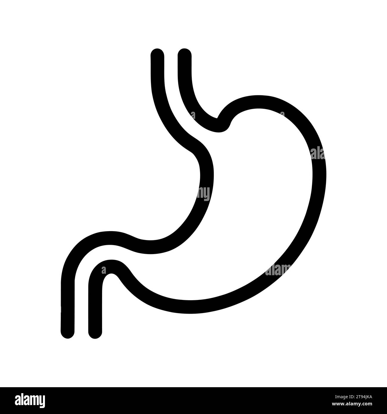 stomach. linear icon. Line with editable stroke. Vector illustration ...