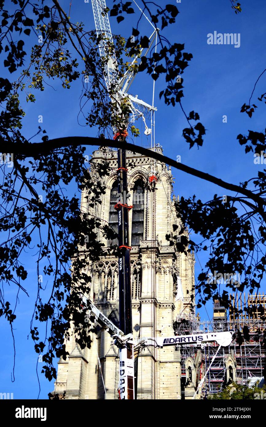 Work at the Cathedral Notre-Dame de Paris for the restoration of the ...