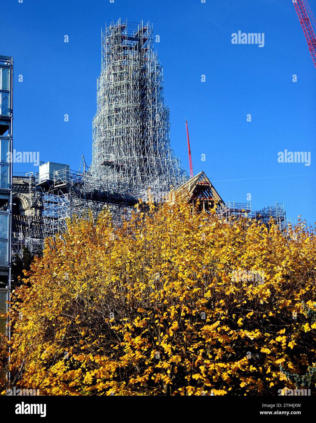Work at the Cathedral Notre-Dame de Paris for the restoration of the ...
