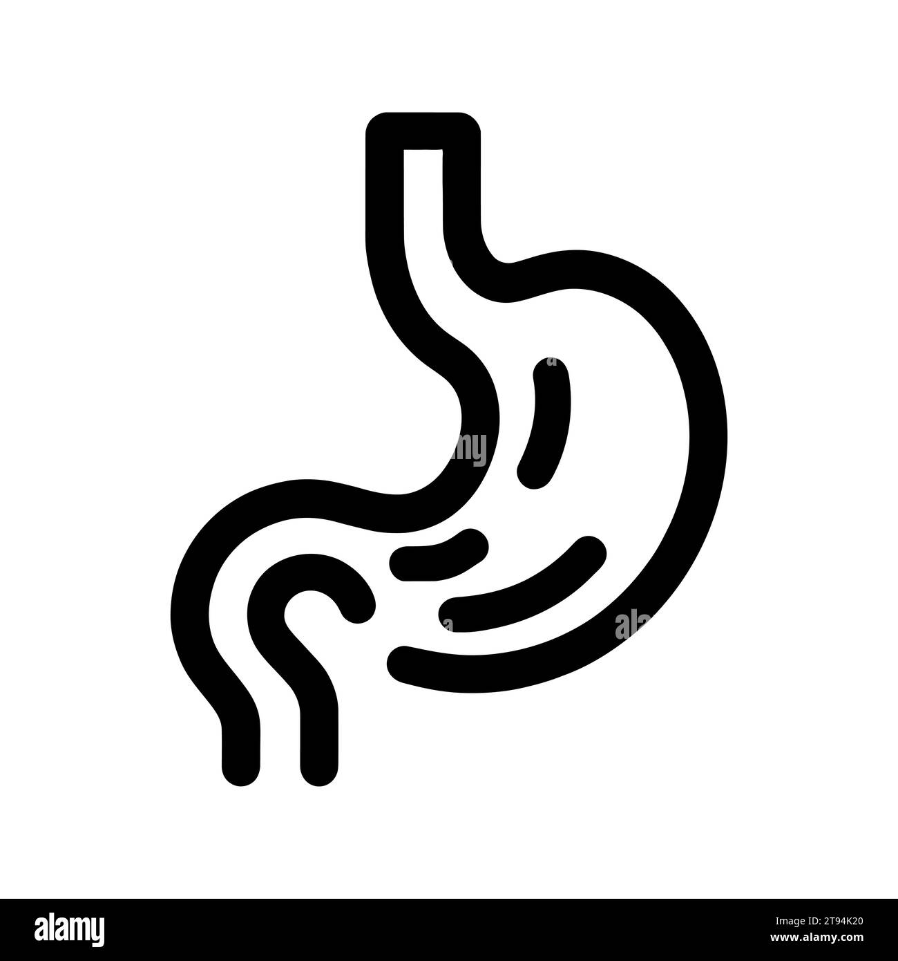 stomach. linear icon. Line with editable stroke. Vector illustration ...