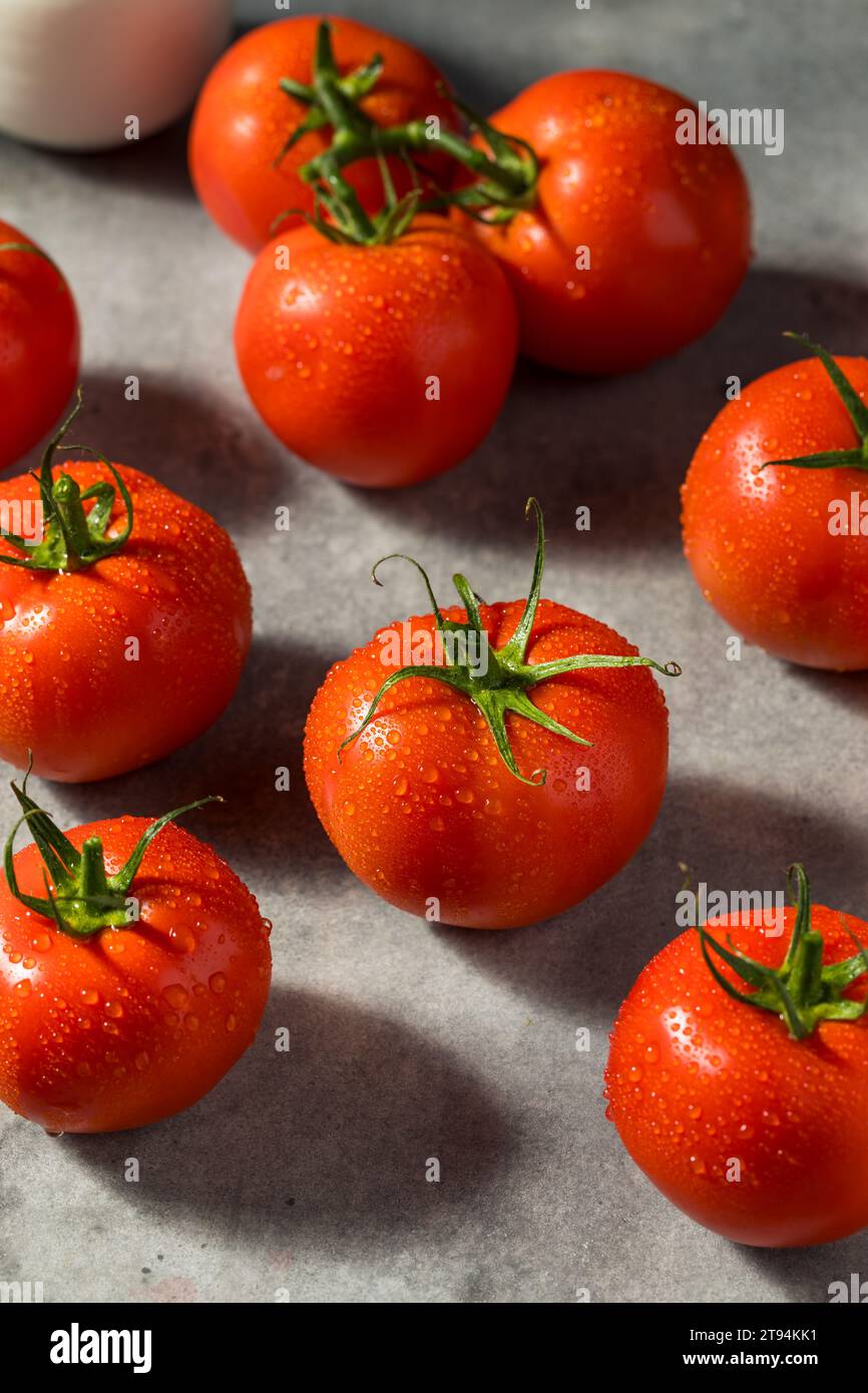 Organic Red Vine Ripened Tomatoes Ready to Eat Stock Photo - Alamy