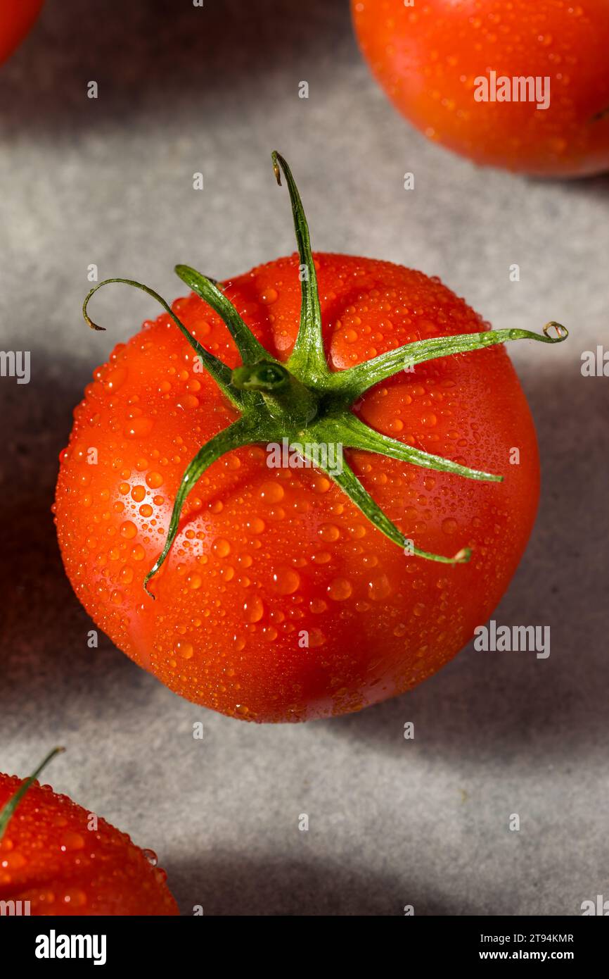 Organic Red Vine Ripened Tomatoes Ready to Eat Stock Photo - Alamy