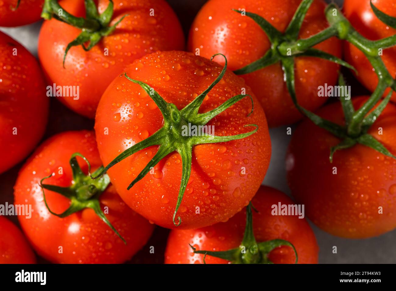Organic Red Vine Ripened Tomatoes Ready to Eat Stock Photo - Alamy