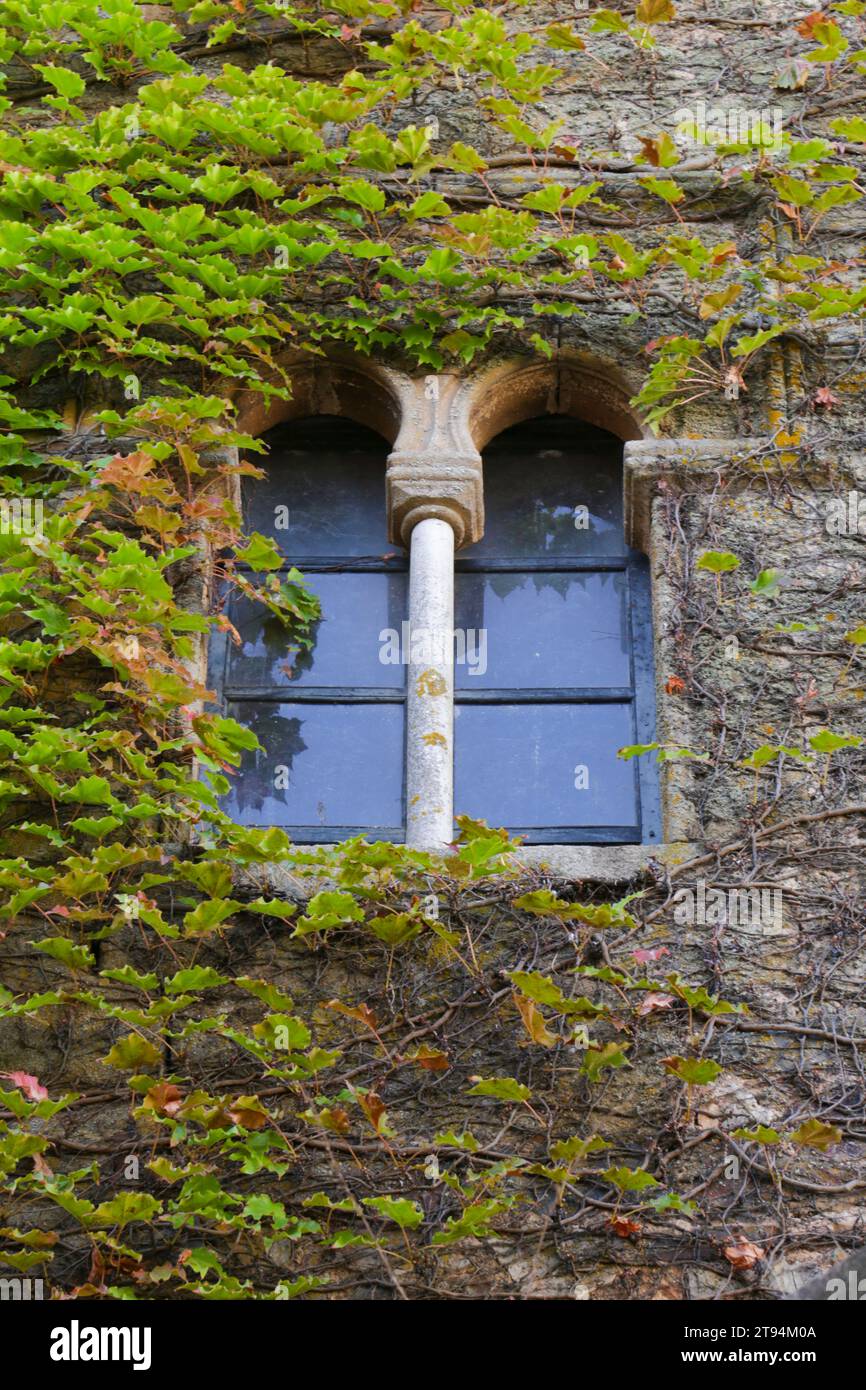 Stone window and architectural details of the Sande Tower in the old ...