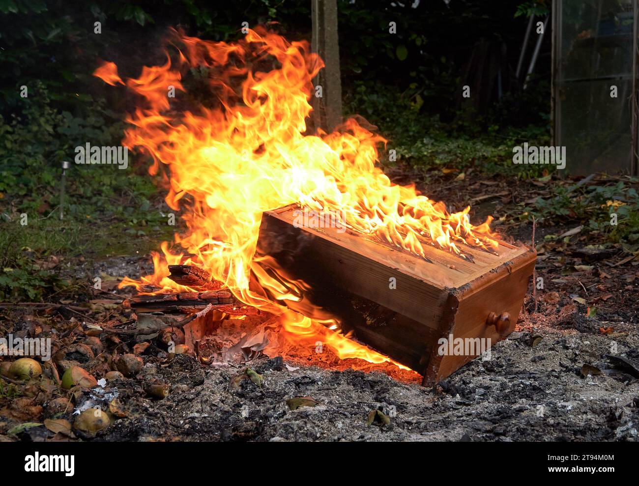 Wood burning on a garden bonfire Stock Photo - Alamy